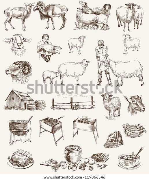 Sheep Breeding Set Vector Sketches On Stock Vector (Royalty Free) 119866546