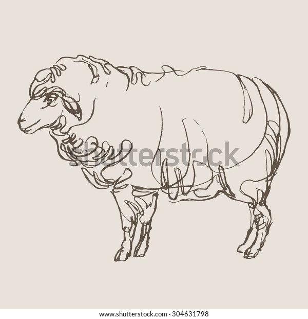 Sheep Hand Draw Sketch Vector Stock Vector (Royalty Free) 304631798