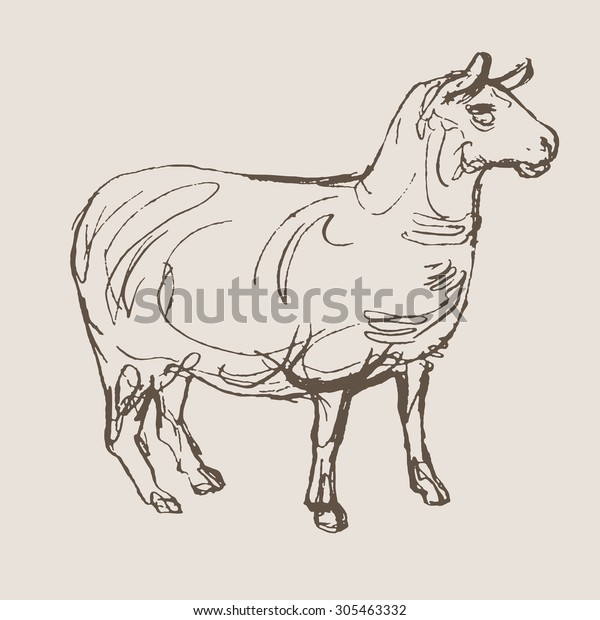 Sheep Hand Draw Sketch Vector Stock Vector (Royalty Free) 305463332 ...