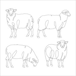 Vintage Art Sheep Lamb Free Stock Photo - Public Domain Pictures