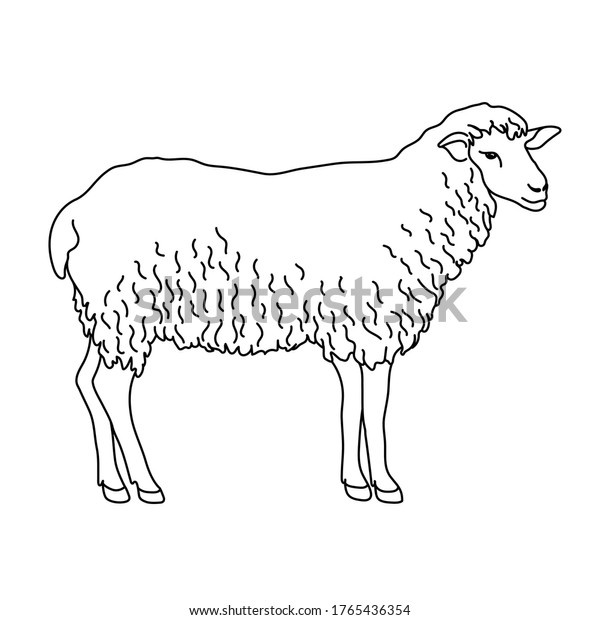 Sheep Line Drawing Minimalistic Style Logo Stock Vector (Royalty Free ...