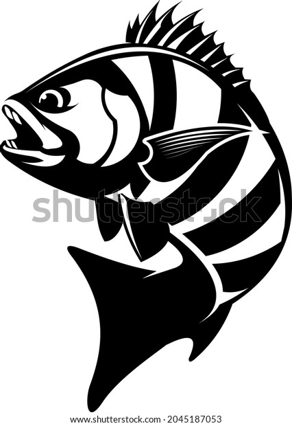 152 Sheepshead Fish Images, Stock Photos & Vectors | Shutterstock