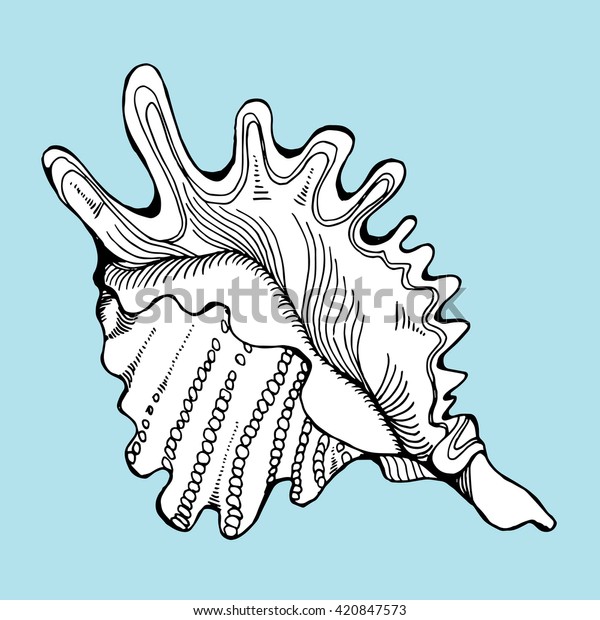 Shellfish Line Art Black White Drawing: เวกเตอร์สต็อก (ปลอดค่าลิขสิทธิ์ ...