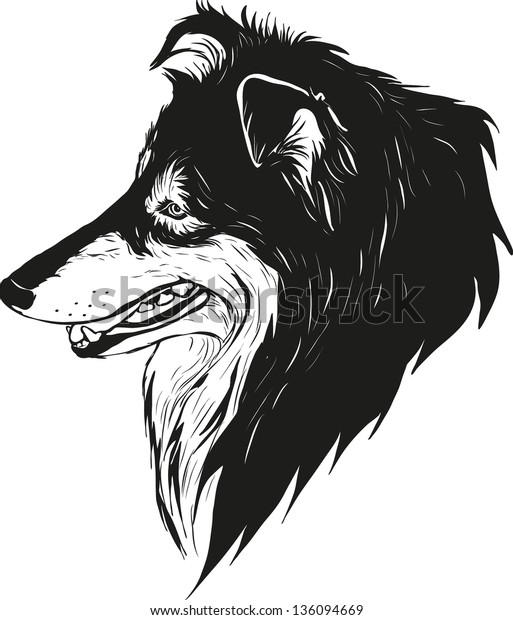 248 Sheltie Dog Stock Vectors, Images & Vector Art | Shutterstock