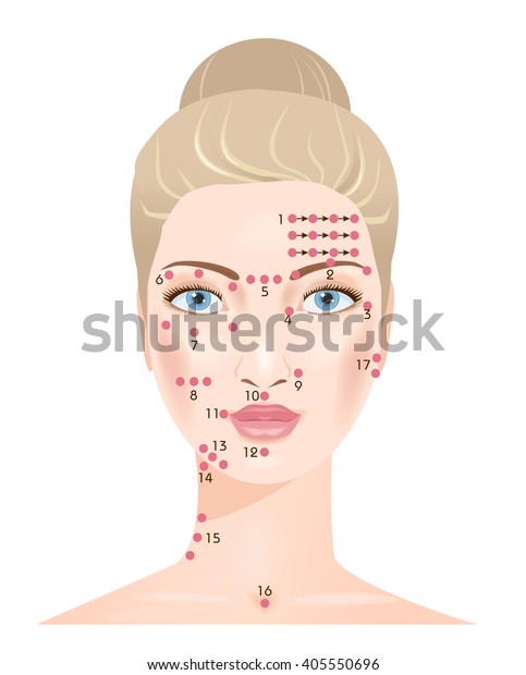 Shiatsu Massage Face Points Stock Vector (Royalty Free) 405550696 ...