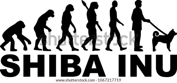 Shiba Inu Evolution Word Stock Vector (Royalty Free) 1067217719 ...