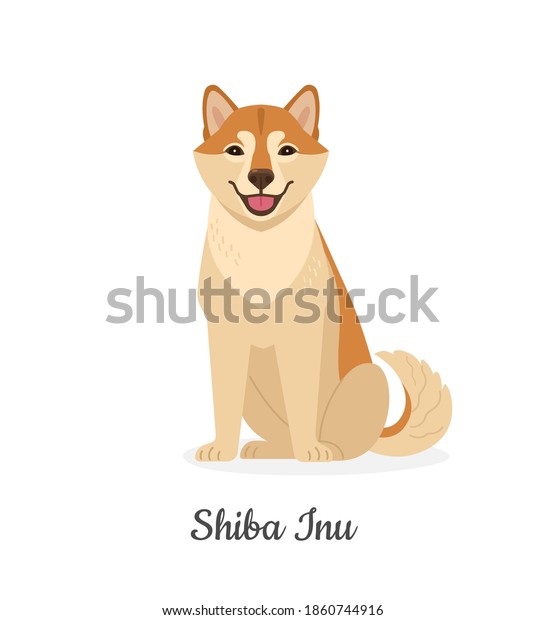 Shiba Inu Vector Illustration Cute Big Stock Vector (Royalty Free ...