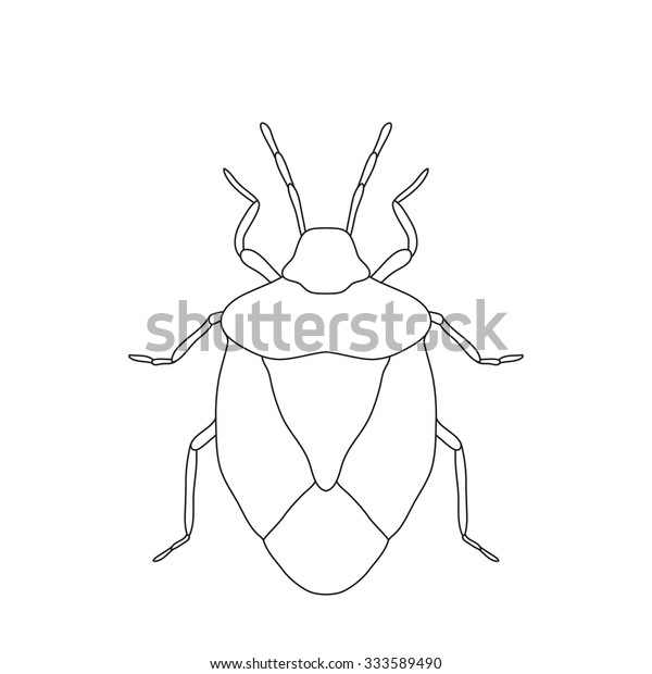 Shield Bug Palomena Prasina Sketch Shield Stock Vector (Royalty Free ...