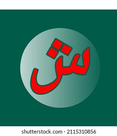 Shin Arabic Calligraphy Lettering Vector Illustration Stock Vector ...