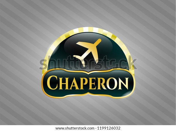Shiny Badge Plane Icon Chaperon Text Stock Vector (Royalty Free) 1199126032