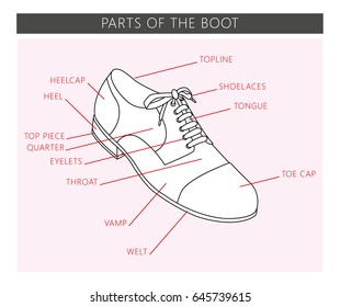 Heelcap Images, Stock Photos & Vectors | Shutterstock