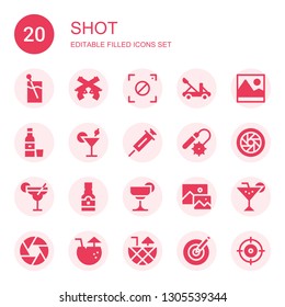 Shot Icon Set Collection 20 Filled Stock Vector (Royalty Free ...