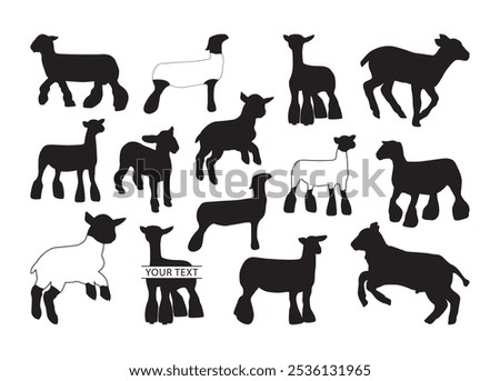 Show Lamb Clipart | Free download on ClipArtMag