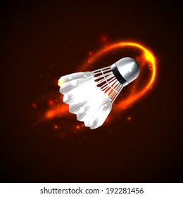 208 Shuttlecock fire Images, Stock Photos & Vectors | Shutterstock