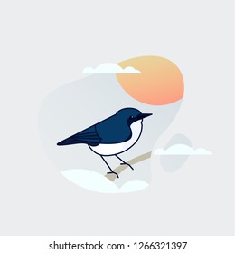 Siberian Blue Robin Stock Vector (Royalty Free) 1266321397 | Shutterstock