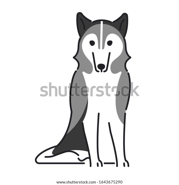 Siberian Husky Posing Sitting Position Stock Vector (Royalty Free ...
