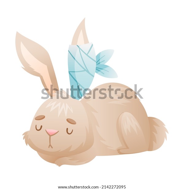 397 Rabbit Hurt Images, Stock Photos & Vectors | Shutterstock