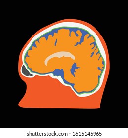 Side View Human Brain Illustration On Stock Vector (Royalty Free ...