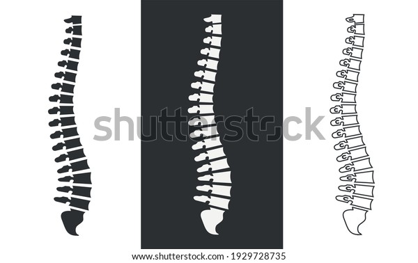 Side View Spine On White Black Stock Vector (Royalty Free) 1929728735 ...