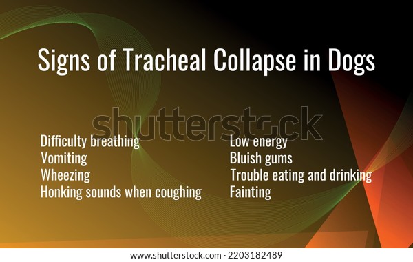 Signs Tracheal Collapse Dogs Vector Illustration Stock Vector (Royalty ...