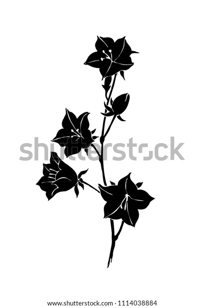 Silhouette Bellflower Stock Vector (Royalty Free) 1114038884