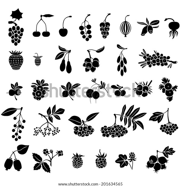Silhouette Blackandwhite Image Berries Set Stock Vector (Royalty Free ...