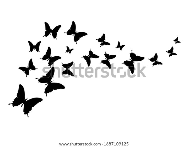 Silhouette Butterflies Design Isolated On Transpant Stock Vector