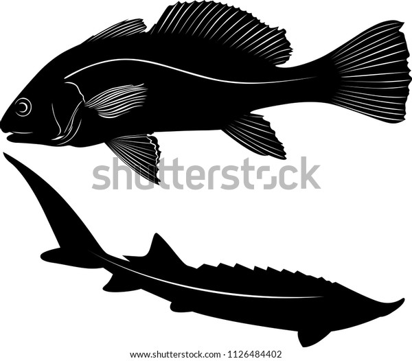 Silhouette Fish Isolated On White Background Stock Vector (Royalty Free ...