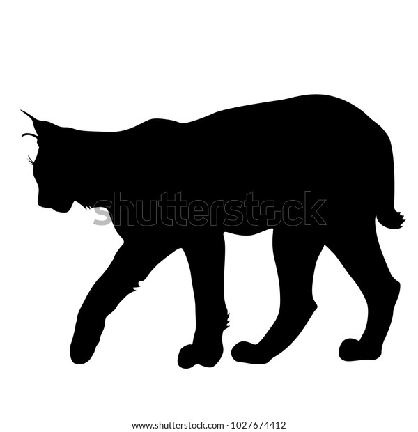 Silhouette Lynx On White Background Stock Vector (Royalty Free) 1027674412
