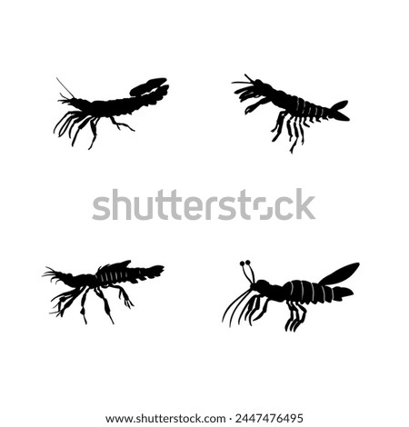 Mantis Shrimp Drawing | Free download on ClipArtMag