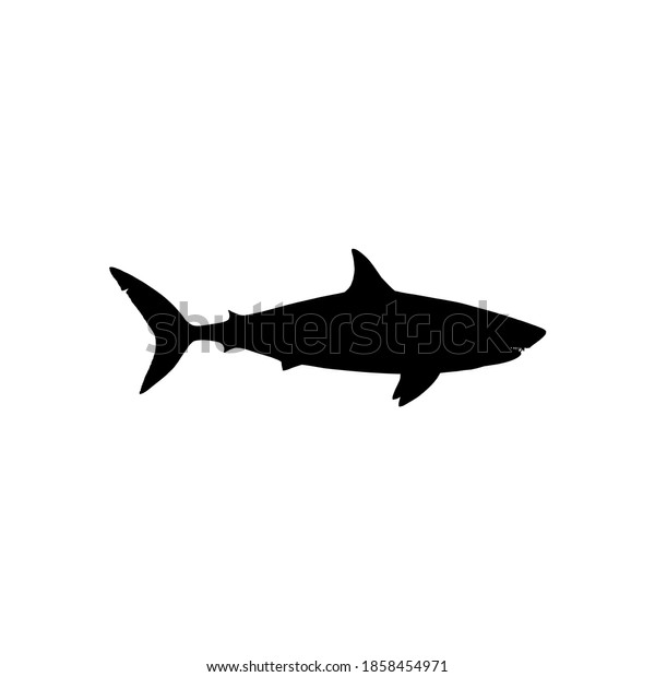 Vektor Stok Silhouette Megalodon On White Background (Tanpa Royalti ...