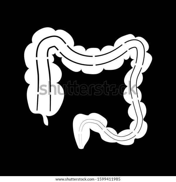 Silhouette Outline Human Colon Vector Art Stock Vector (Royalty Free ...