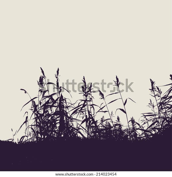 Silhouette Reed Vector Illustration Stock Vector (Royalty Free ...