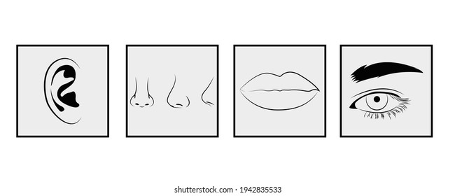 Silhouette Sense Human Vector Stock Vector (Royalty Free) 1942835533 ...