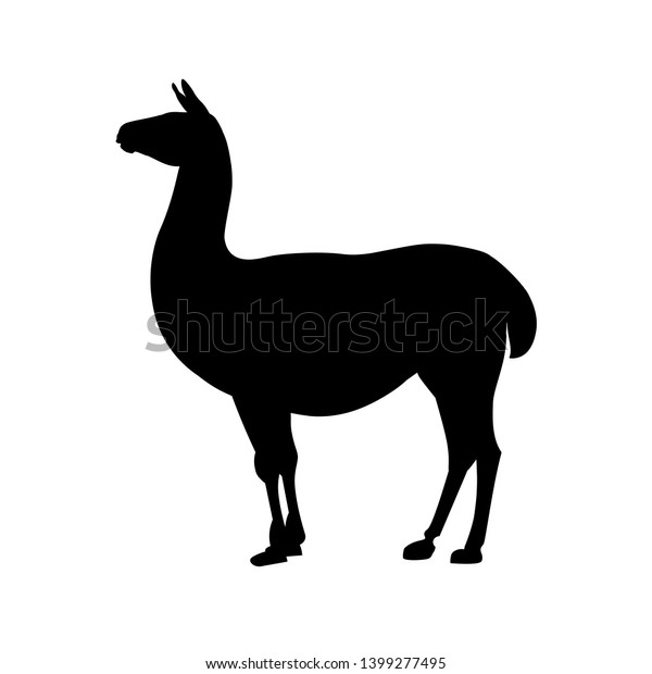 Silhouette Standing Llama Side View Vector Stock Vector (Royalty Free ...