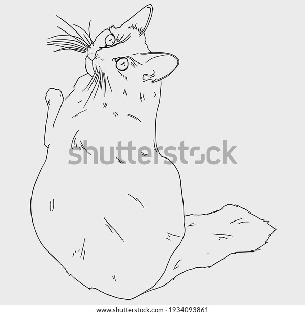 Silhouette Vector Drawing Laying Cat Isolate Stock Vector (Royalty Free ...
