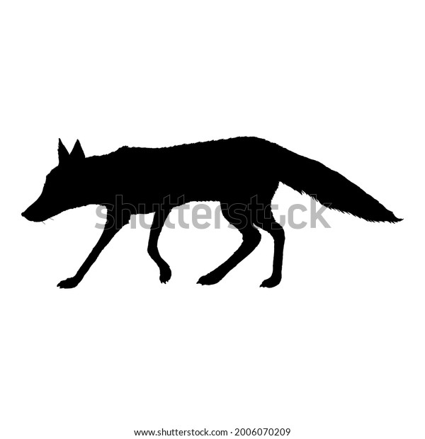 Silhouette Walking Fox Side View Vector Stock Vector (Royalty Free ...