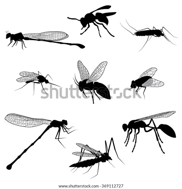 Silhouettes Flying Insects Vector Illustration Stock Vector (Royalty ...