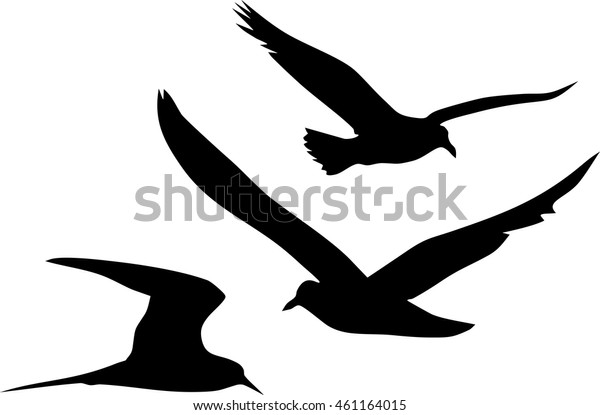 Silhouettes Flying Seagulls Stock Vector (Royalty Free) 461164015