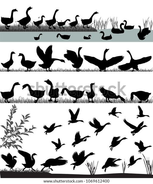 Silhouettes Gooses Flying Floating On Water Stock Vector (Royalty Free ...