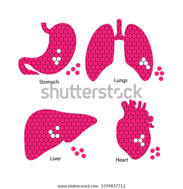 「Silhouettes Human Internal Organs Texture Vector」のベクター画像素材（ロイヤリティフリー ...