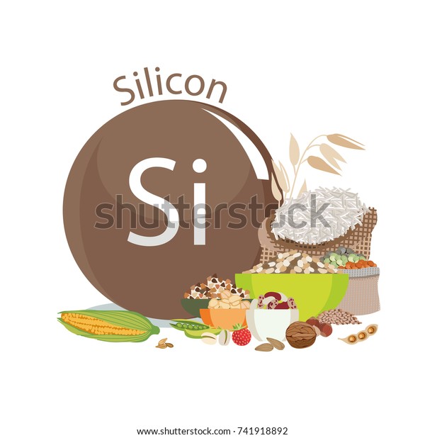 Silicon Food Sources Food Products Maximum Stock Vector (Royalty Free ...