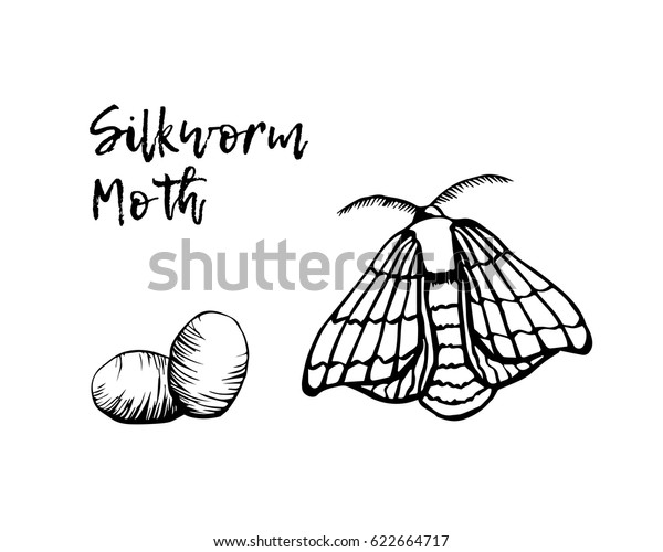 Silkworm Sketchy Illustration Vector Stock Vector (Royalty Free ...
