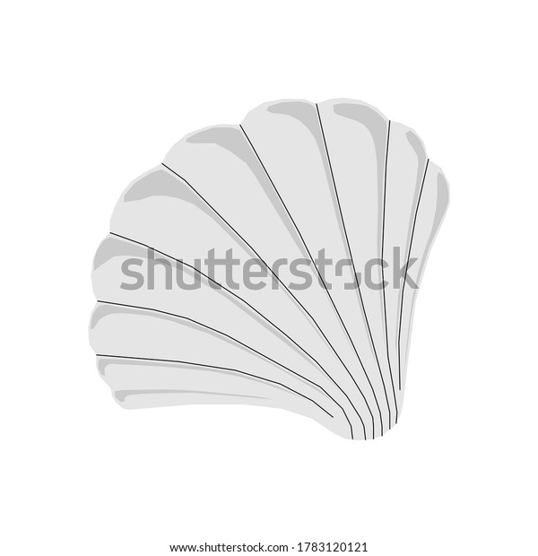 Silver Clam Shell Aquatic Animal Ocean Stock Vector (Royalty Free ...