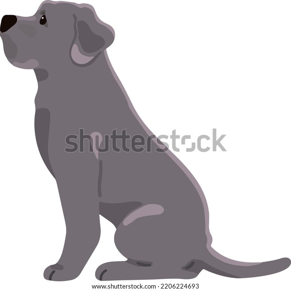 Simple Adorable Great Dane Illustration Sitting Stock Vector (Royalty ...