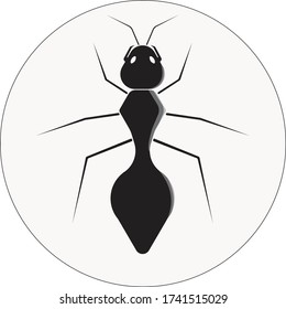 Simple Black Ant Design Purpose Stock Vector (Royalty Free) 1741515029 ...