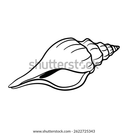 Shell Line Drawing | Free download on ClipArtMag