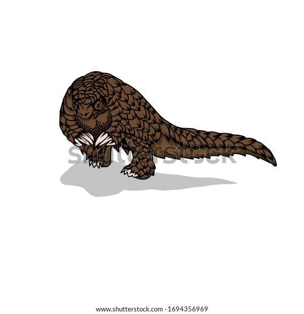 Simple Design Illustration Pangolin Color On Stock Vector (Royalty Free ...
