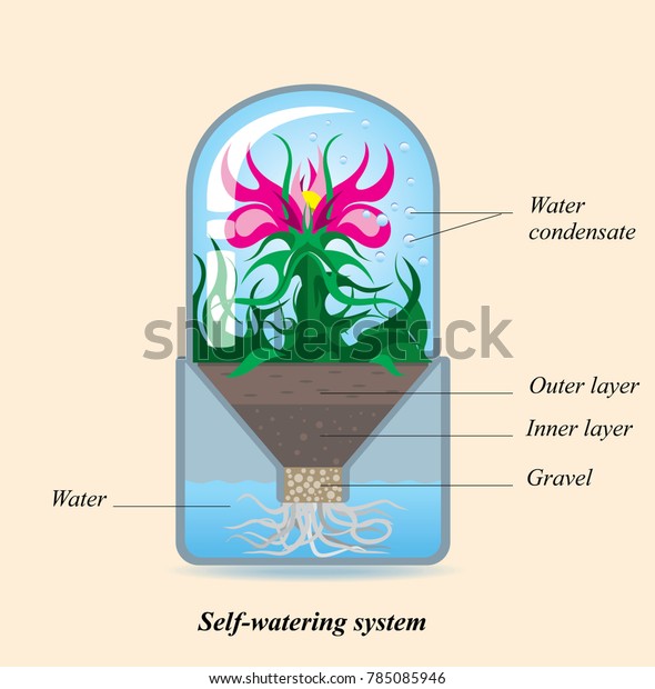 Simple Design Selfwatering System Potted Plant Stock Vector (Royalty ...