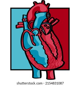 Simple Diagram Human Heart Vector Illustration Stock Vector (Royalty ...